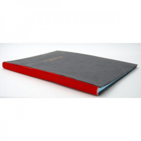 PARAPHEUR 12 VUES LUXE - 2SI